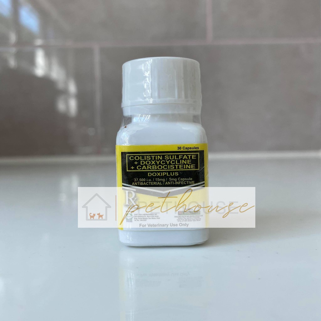 Rockdove Doxiplus for pigeons (30 capsules) | Shopee Philippines Rockdove Doxiplus for pigeons (30 capsules) | Shopee Philippines