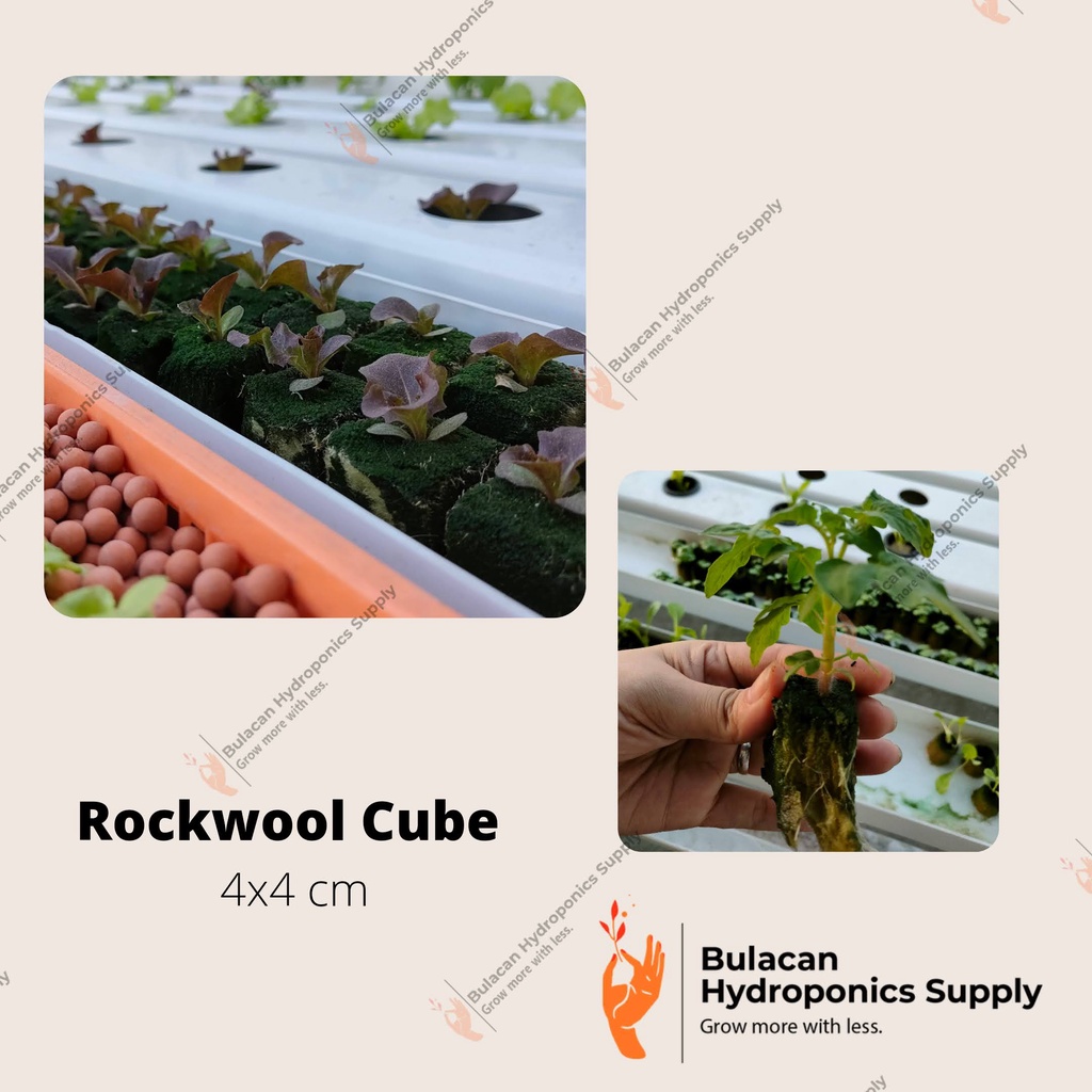 Rockwool Cube - Premium Quality By 42 Pcs | Shopee Philippines