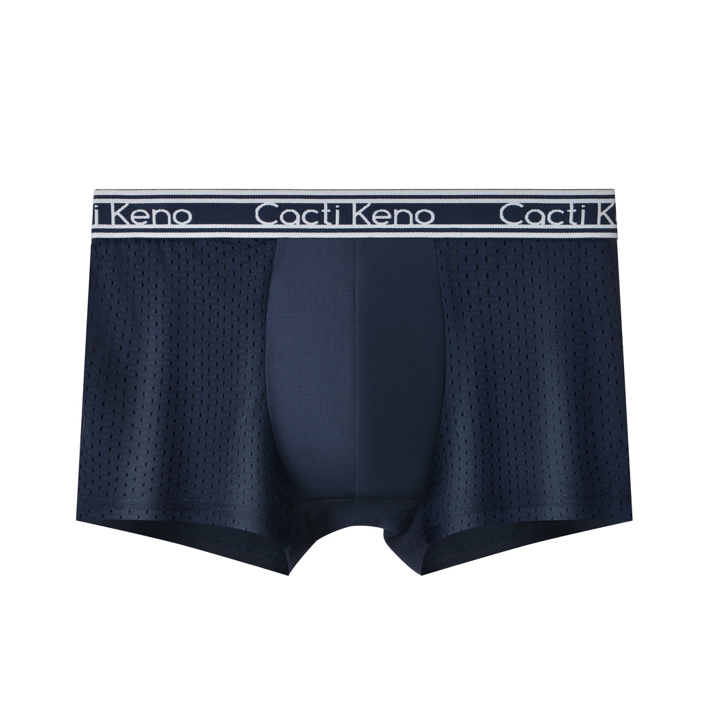 Cacti Keno Men's Plus Size Boxer Brief Breathable Underpants Shorts ...