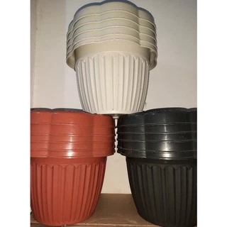 Shop paso flower pot for Sale on Shopee Philippines