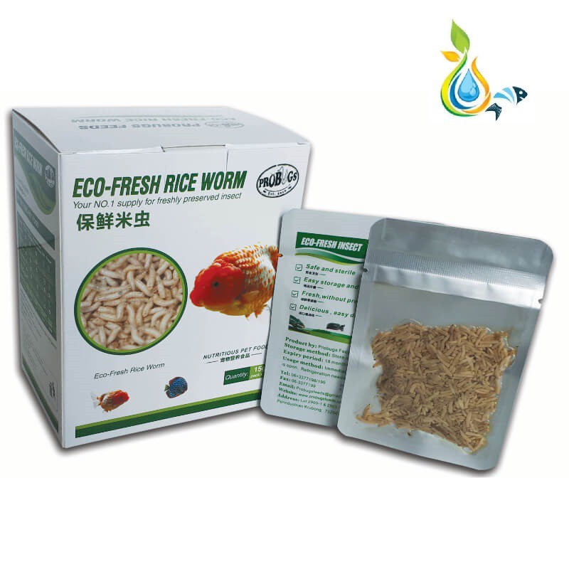 PROBUGS Eco-Fresh Rice Worm 15g | Shopee Philippines