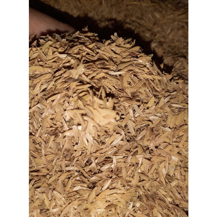 500g Pure and organic rice hull / rice husk / ipa ng palay / palayan ng ...