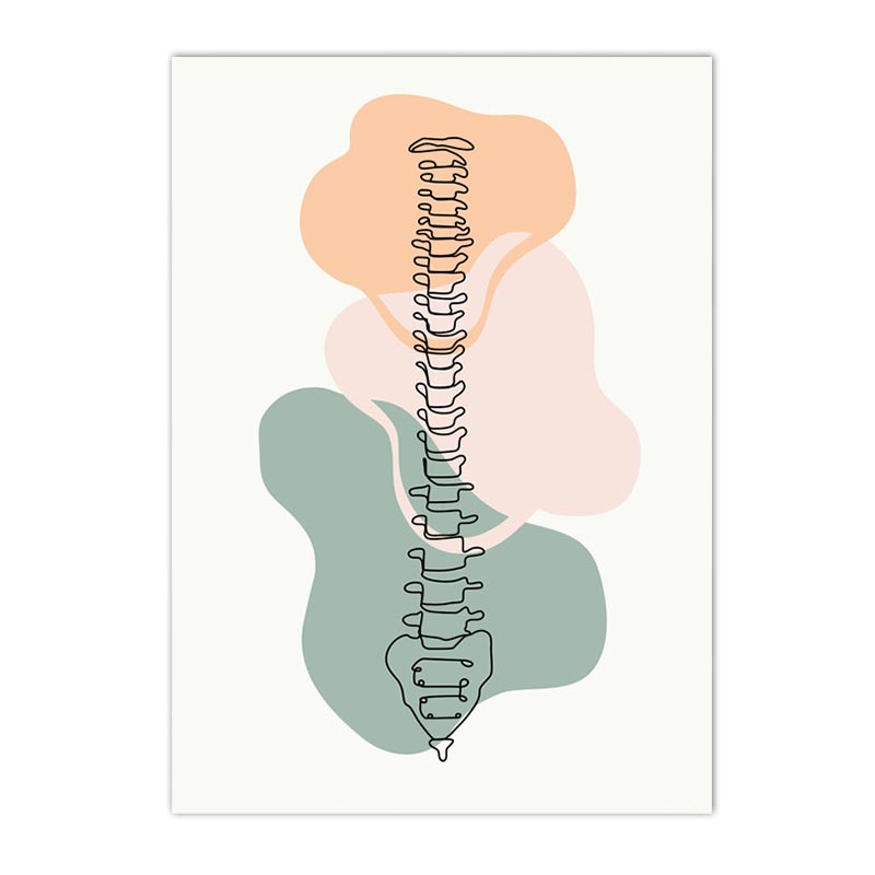 Frames Human Anatomy Skeleton Wall Art Poster Sternum Spine Foot Print ...