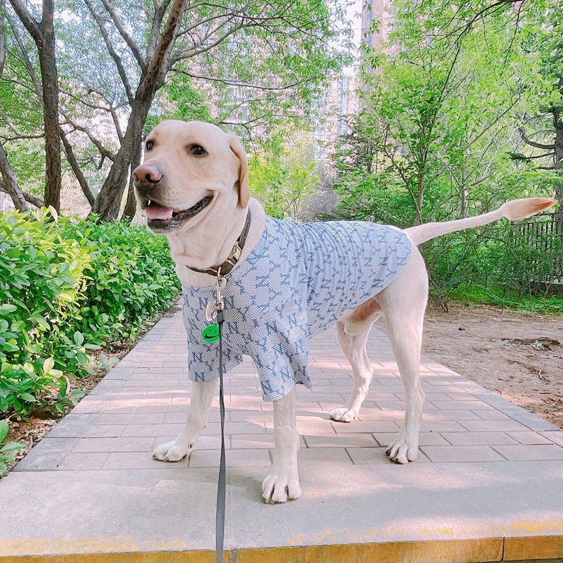 Dog Clothes Large Dog Thin Mesh Breathable Sun Protection Clothing Pet ...