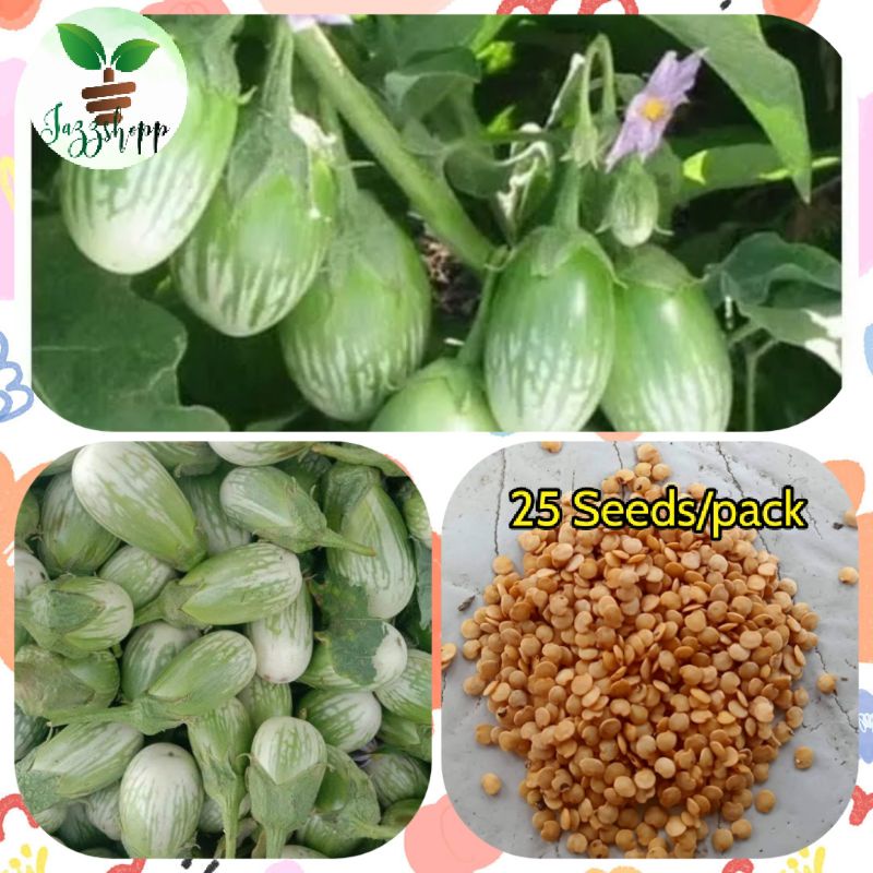 Native Talong Seed / Seeds for planting (New harvest) | Shopee Philippines