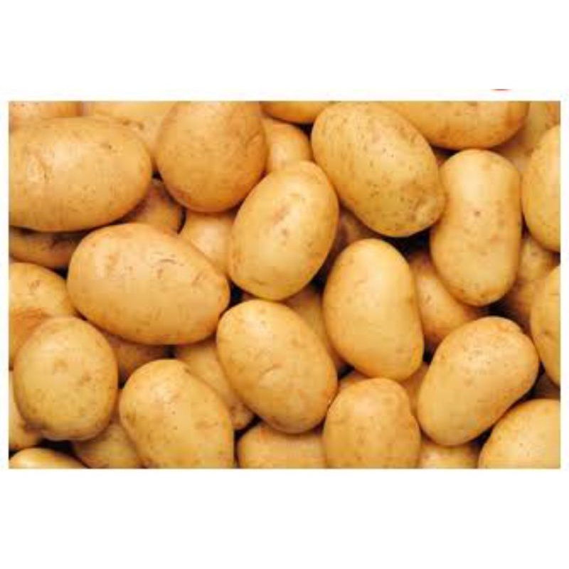 patatas local potatoes (1kl) cooking essential | Shopee Philippines