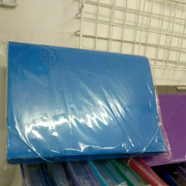 Seagull accordion file (expandable envelope) - A4 | Shopee Philippines