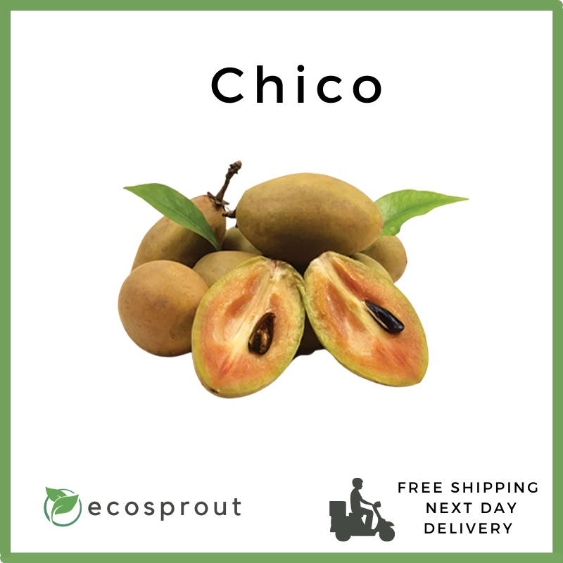 Fresh Chico | 1kg | Fresh Vegetables | Fresh Fruits | Groceries ...