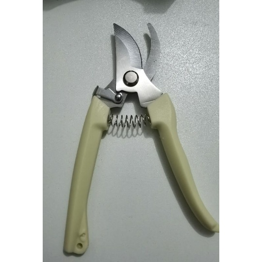 PRUNING SHEER Off White / Pamputol NG Halaman | Shopee Philippines