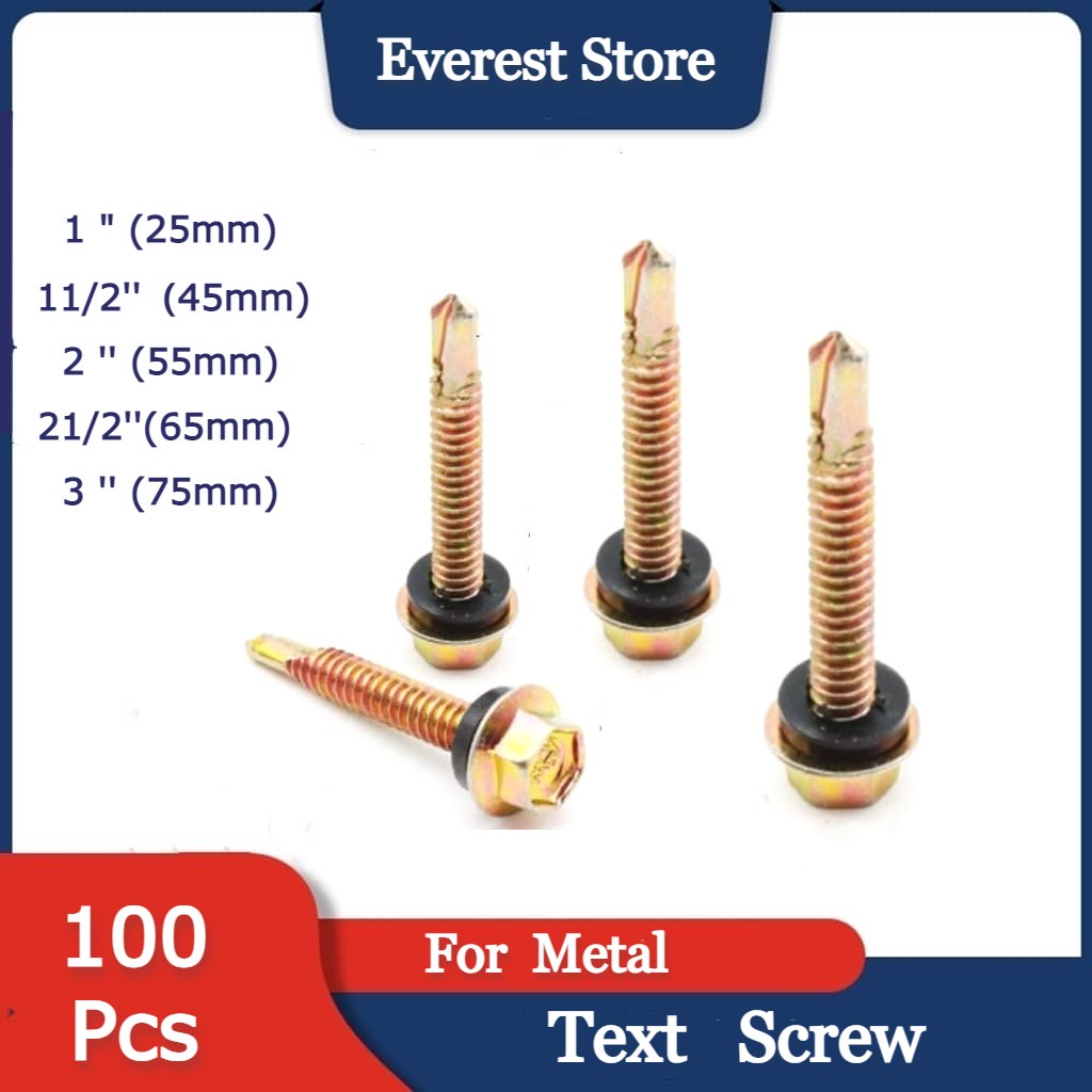 Text Screw for Metal Steel and Wood (Per 100 pcs) | Shopee Philippines
