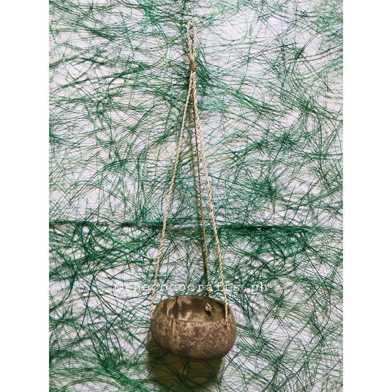 Coco pot (Coconut shell pot) | Shopee Philippines