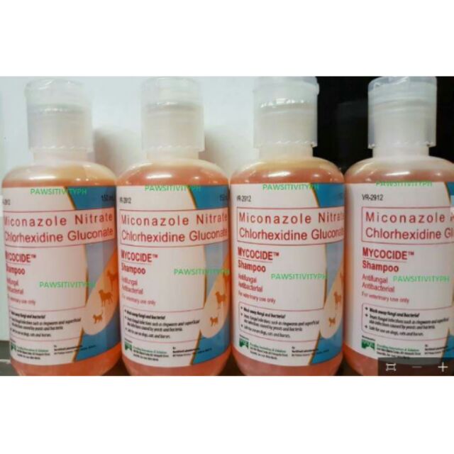Mycocide Shampoo Anti-Fungal and Anti-Bacterial Shampoo | Shopee ...
