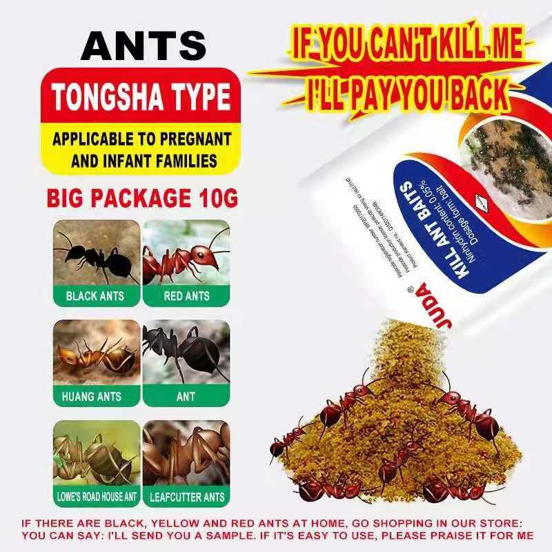 Ant medicine will infect the entire nest, killing big black ants, red ...