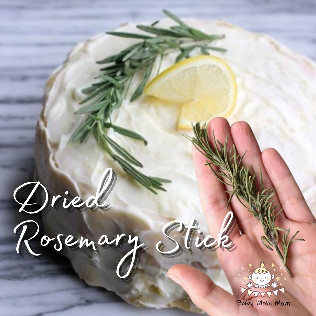 Dried Rosemary Stick Rosemary Stalk Rosemary Stem Rosemary Twig - Dried ...