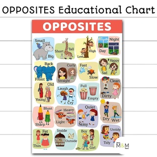 OPPOSITES Chart | A4 Size | Laminated Educational Wall Charts, Chart ...