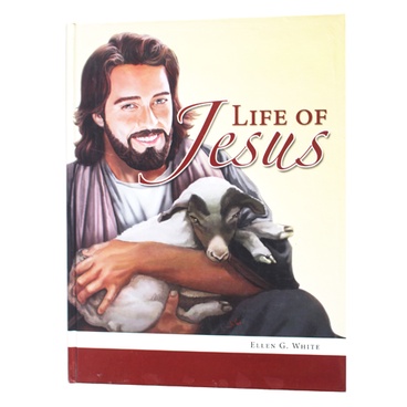 Life of Jesus Illustrated Glossy Full Color Children's/Teens Christian ...