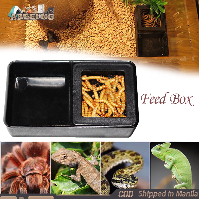 2 Grid Pet Plastic Reptile Feed Box Food Water Dish Bowl For Tortoise ...