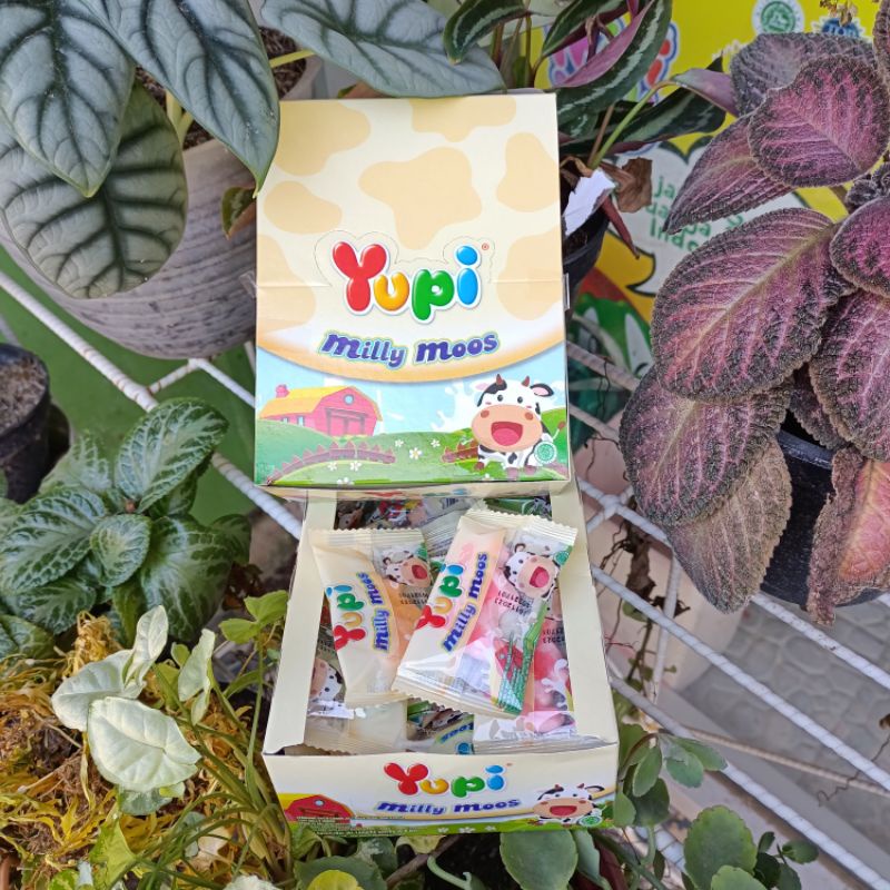 Yupi CANDY BOX CONTAINS 24 PCS | Shopee Philippines