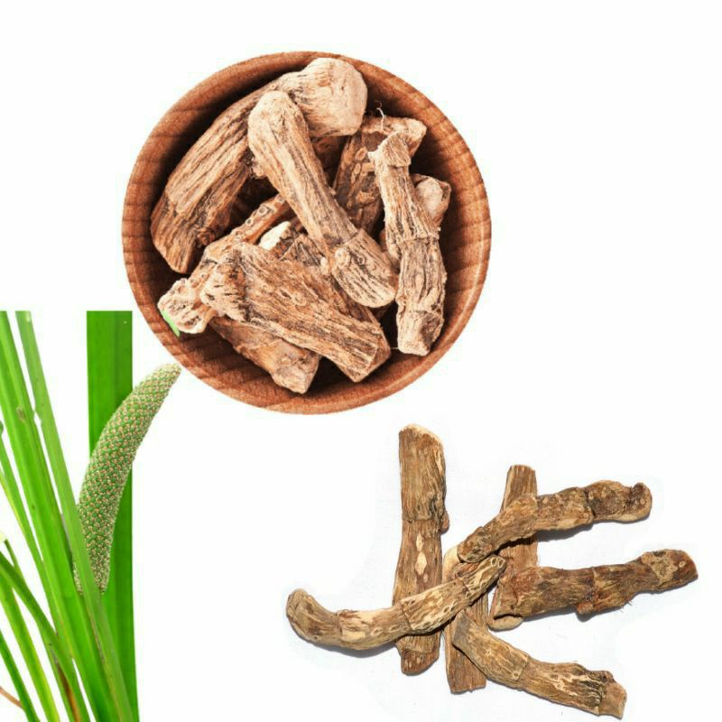 PUTIH Spices - India Vasambu/Dried White Guava/Acorus Calamus/Sweet ...