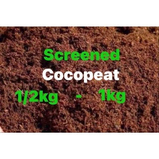 Shop bistay for Sale on Shopee Philippines