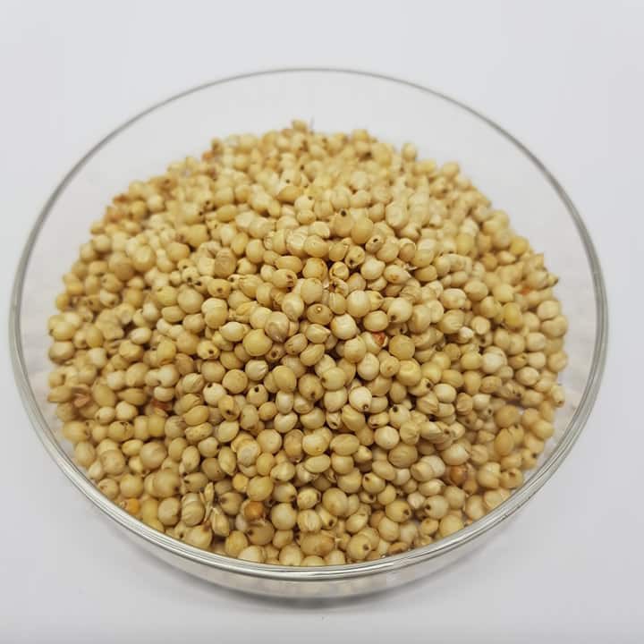 WHITE SORGHUM SEEDS (1Kg) | Shopee Philippines