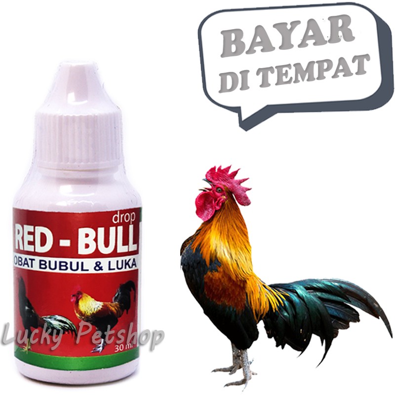 Bangkok Rooster Medicine Sick RED BULL Skin Infection | Shopee Philippines