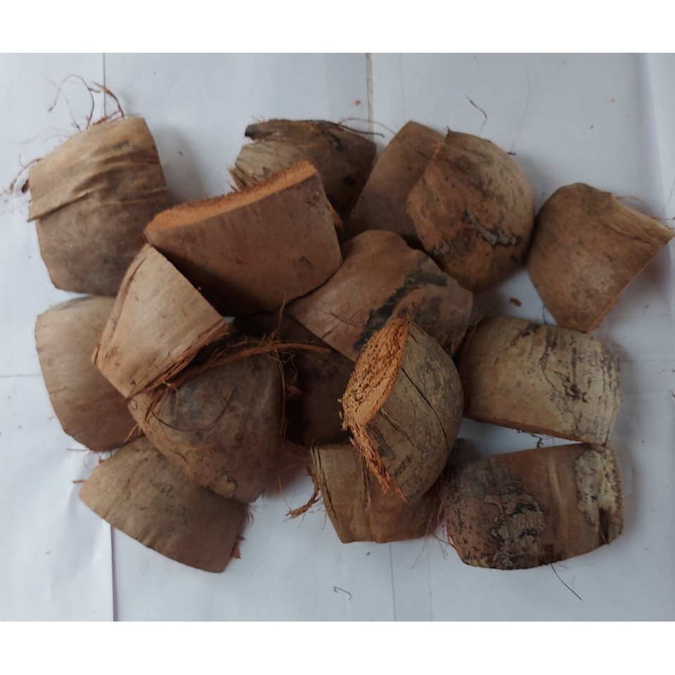 ORGANIC COCO CHIPS/COCO CUBES/COCO CHUNKS MANUAL CUT | Shopee Philippines