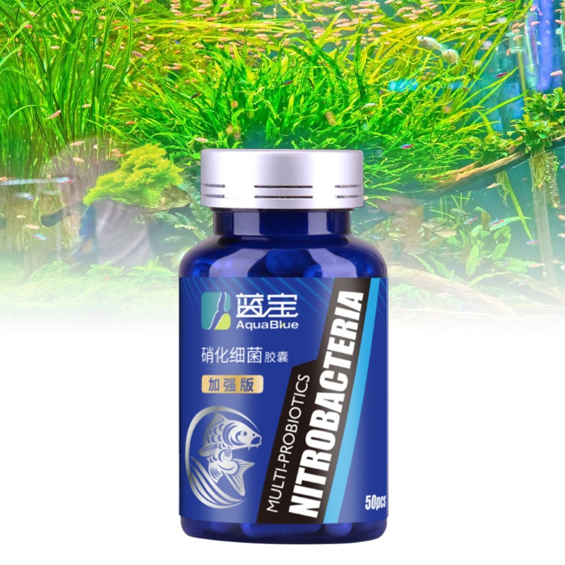 50Pcs/Bottle Aquarium Nitrifying Bacteria Fish Tank Pond Cleaning Fresh ...