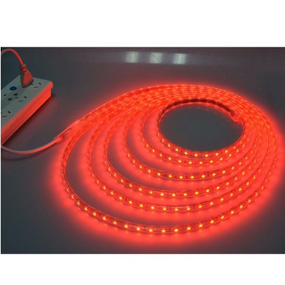8MM led strip lights 5050 led strip IP44 220v Power plug purchased ...