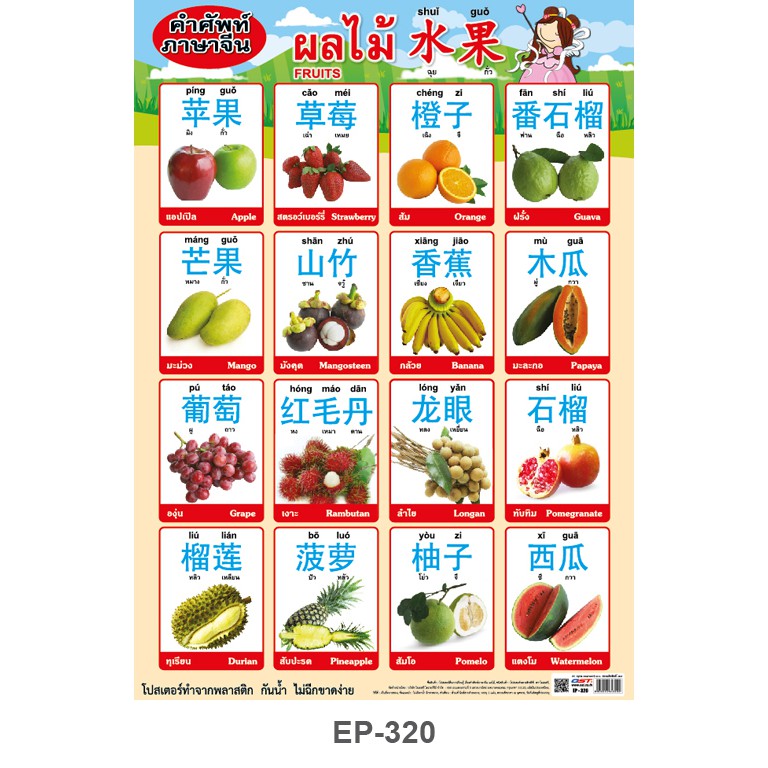 Poster: Chinese Fruit PP Plastic Poster | Shopee Philippines
