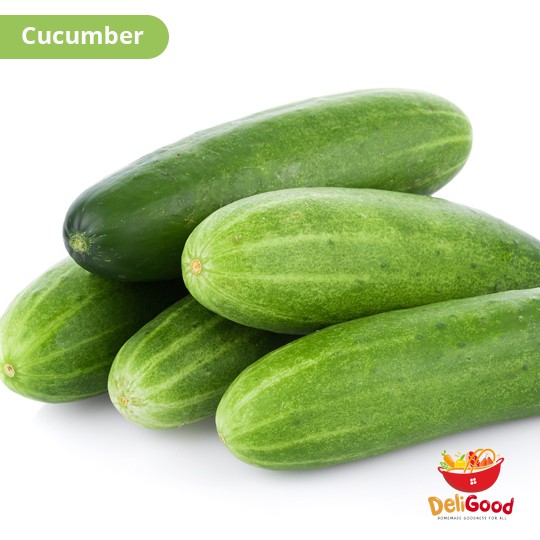 DeliGood Fresh Cucumber (Pipino) | Shopee Philippines