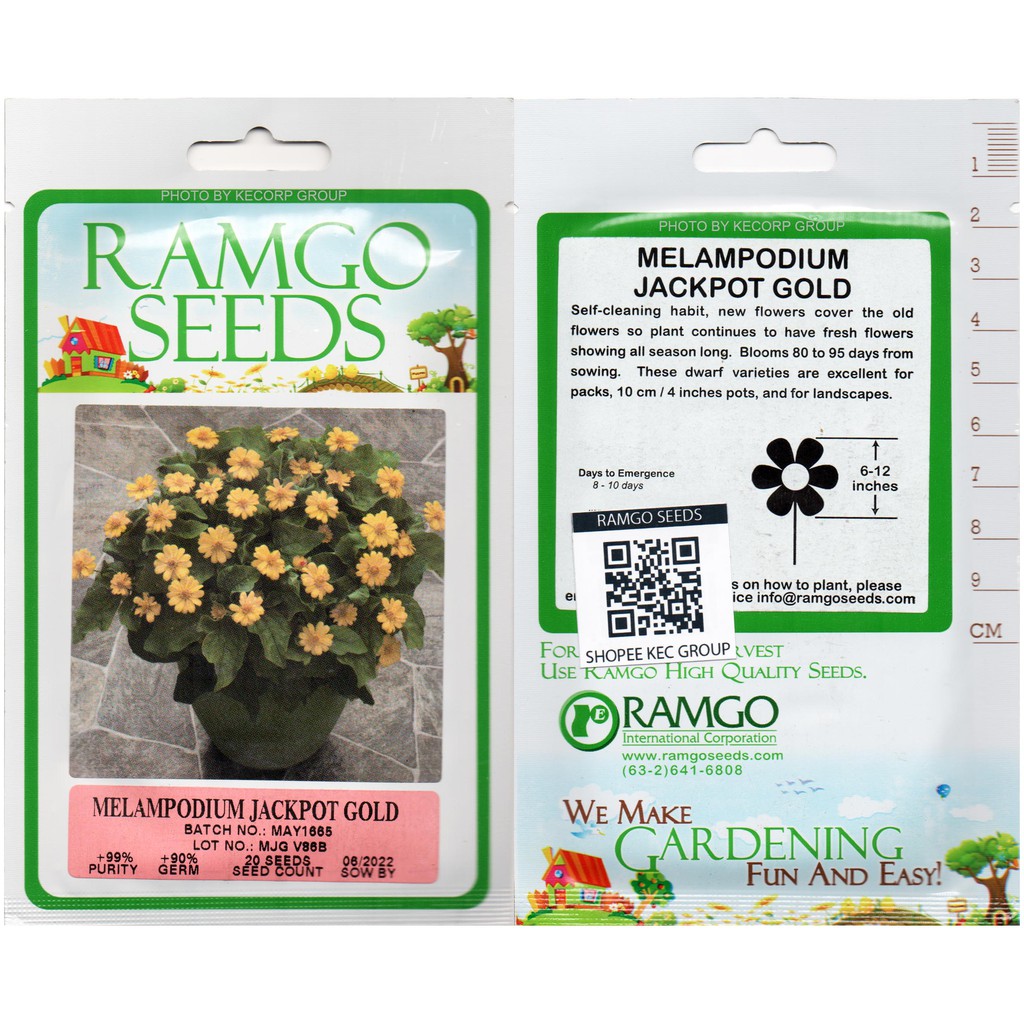 Ramgo Flower Seeds - Sold per Pack per Variety KECORP_S1 | Shopee ...