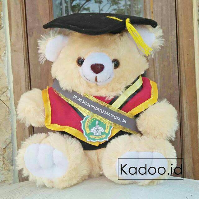 Graduation bear Doll | Shopee Philippines