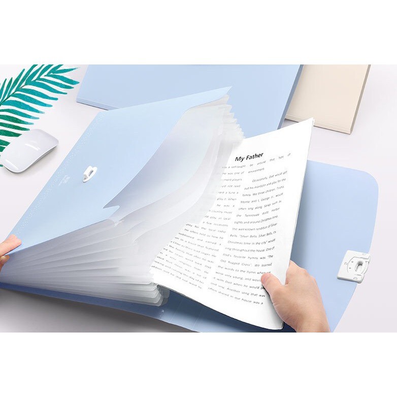 A4 Size Expandable Plastic Envelope with handle and lock | Shopee ...