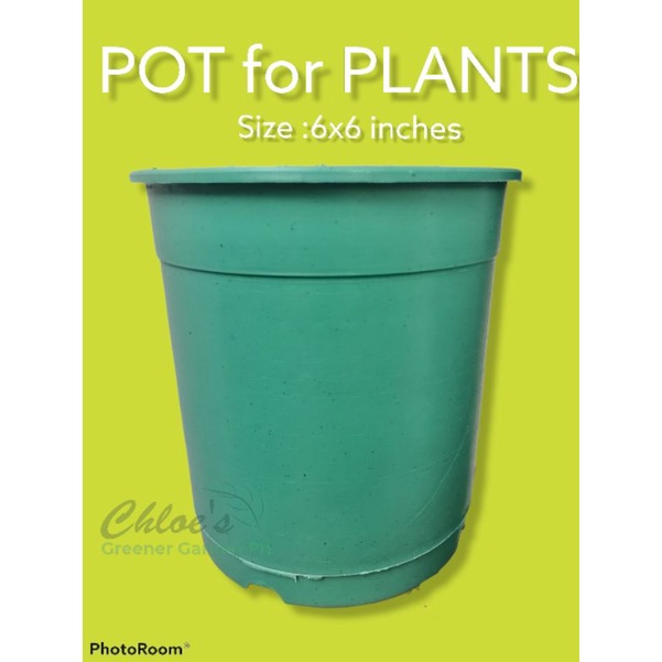 BLACK SLIM TALL POTS FOR PLANTS PLANTERS WHITE Green paso Para sa ...