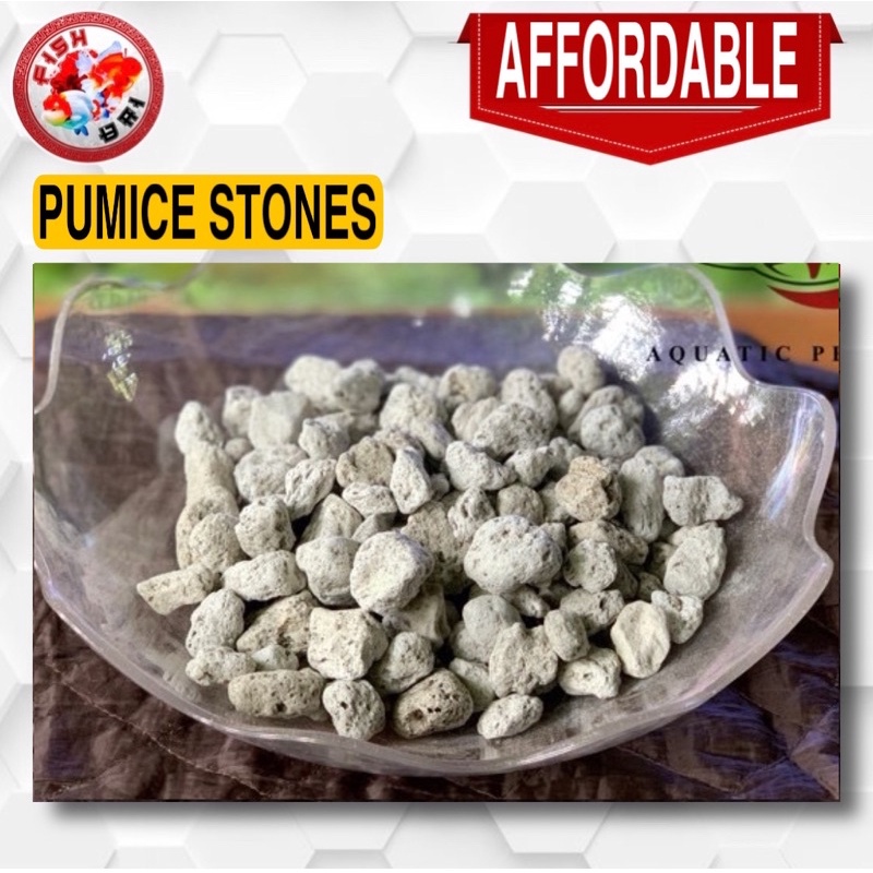 Pumice Stones Biological Filter Media 1/2 Kg (Half Kilo) | Shopee ...