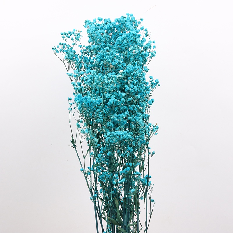 Dried Flower/ Dried Gypsophila Flowers/Dried Baby's Breath Flowers for ...