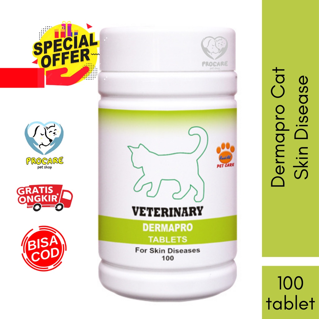 Dermapro cat 100 tablets / Raid All / veterinary / MEDICATION FOR ...
