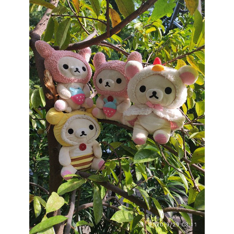 Rilakkuma kori kiroi sumikko | Shopee Philippines