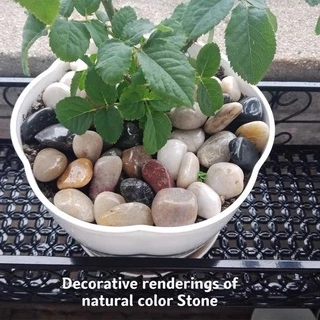 Shop marbles for Sale on Shopee Philippines