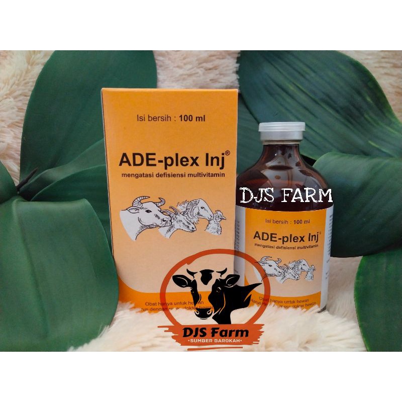 Ade plex inj 100ml medion vitamin ADE and B complex vitamin fattening ...
