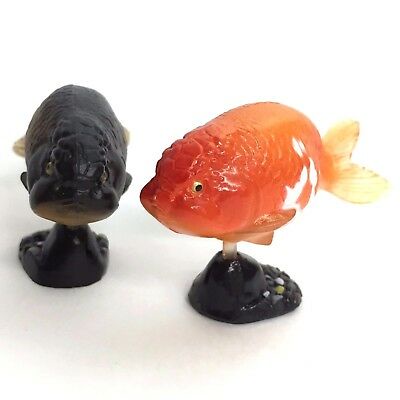 Choco egg furuta kaiyodo ranchu goldfish miniature japan | Shopee ...