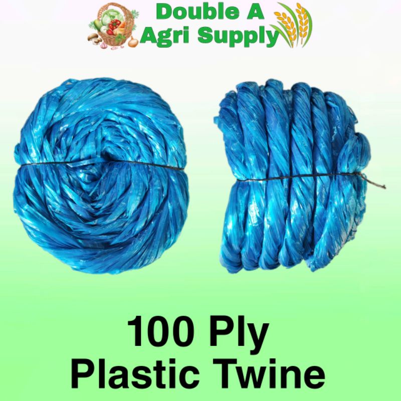 100 Ply Blue Twine / Pambalag / Panali | Shopee Philippines