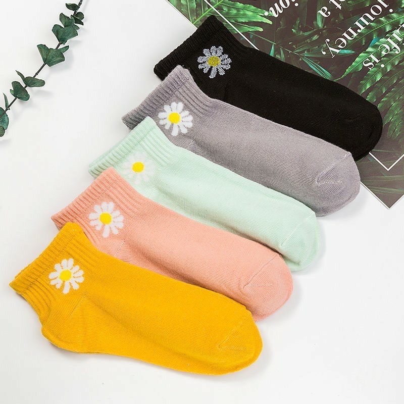 Women's BEAR SHORT COLLAR SOCKS IN ALL COLORS (bag of 10 pairs ...