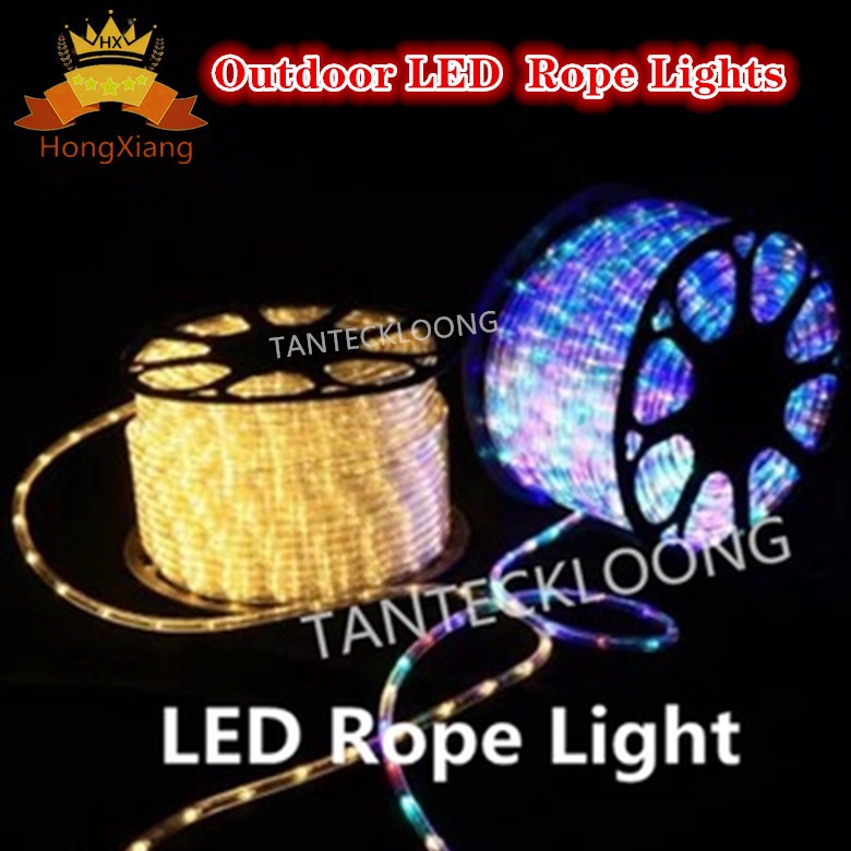 100M 50M 30M LED Rope Light 5050 LED Christmas Lights Xmas Decor Free ...