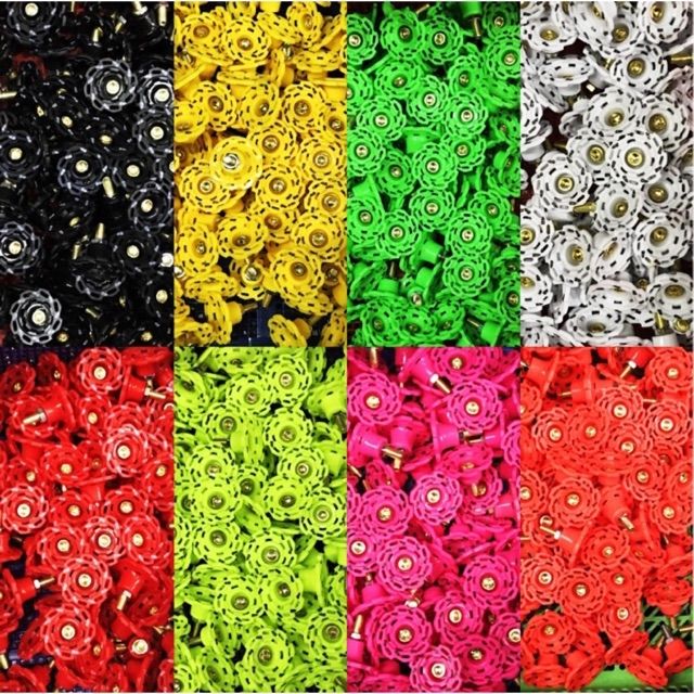 COD Motorcycle Car Plate Screw Bolt Allen Bolt 6mm | Shopee Philippines