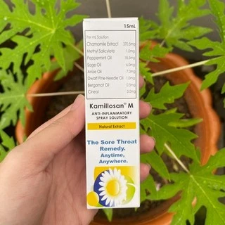 Shop kamillosan spray for Sale on Shopee Philippines