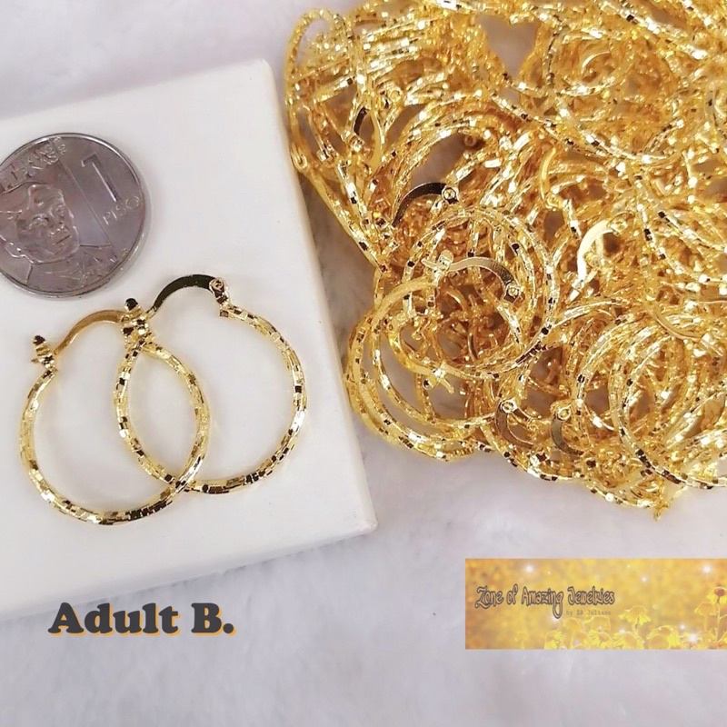 14kgp earrings price store