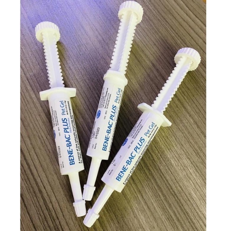 Bene-bac Plus Gel Digestive Enzyme (Large) | Shopee Philippines