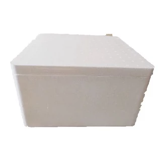 ice box styrofoam - Best Prices and Online Promos - Jul 2025 | Shopee ...